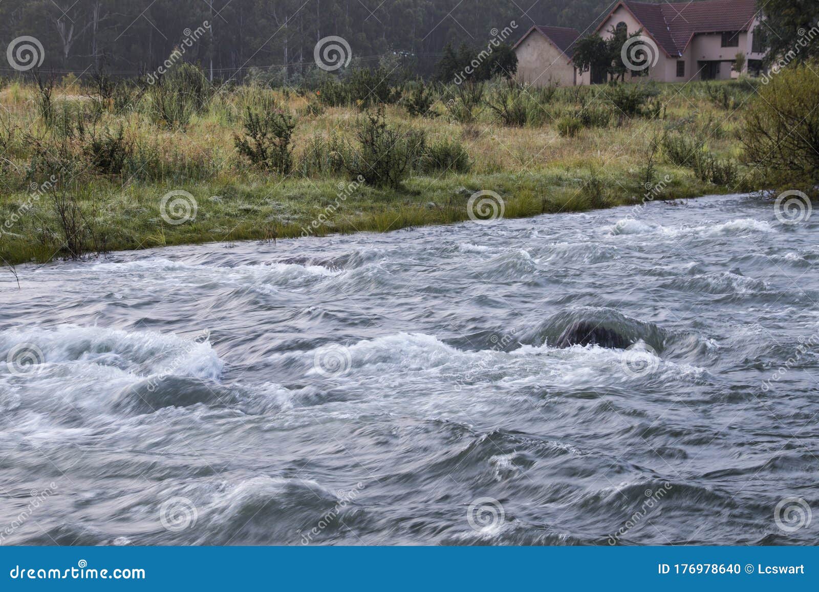 Stream Becomes a Fast Flowing River after Heavy Rains Stock Photo ...