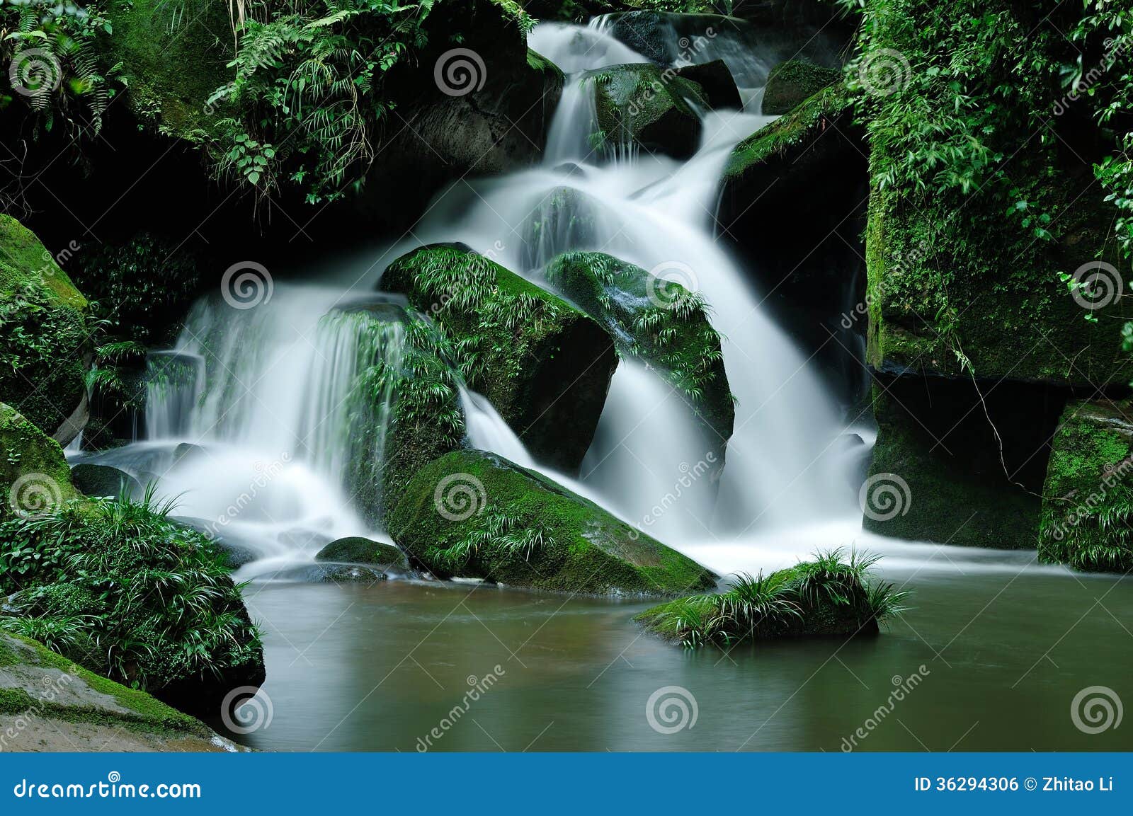 The Stream at the Bifengxia Stock Photo - Image of lens, centre: 36294306