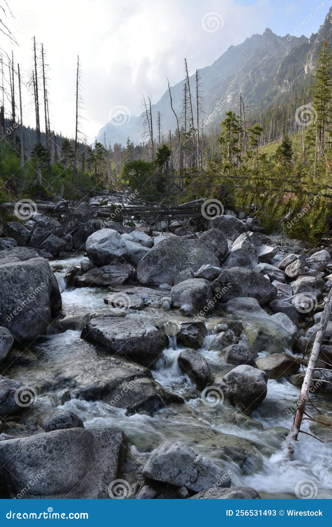 Stream with Big Rocks on the Mountain Stock Image - Image of view ...