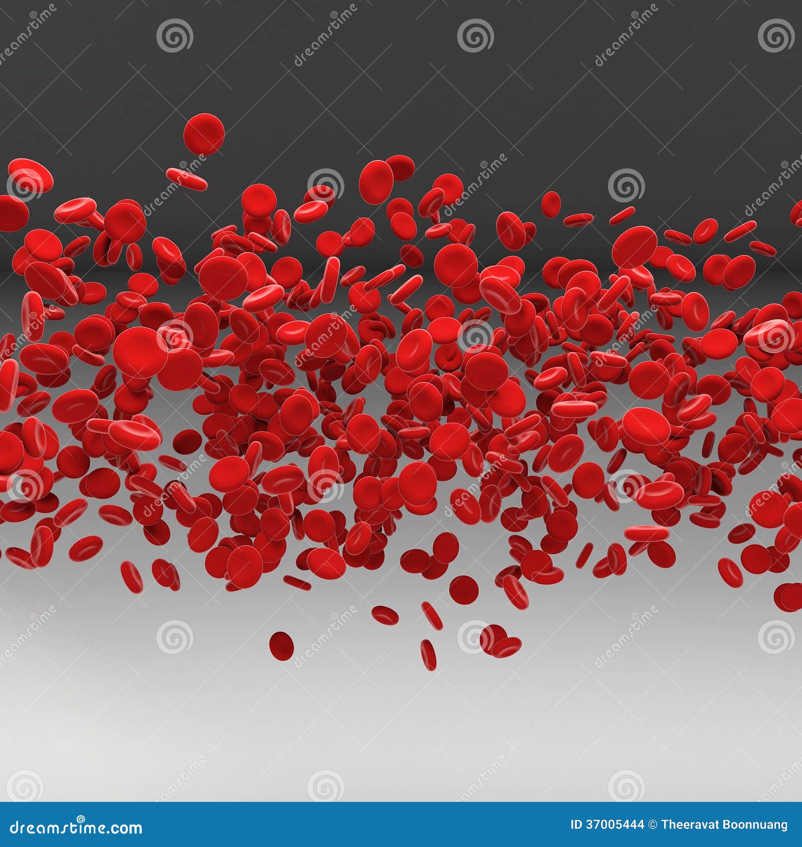 Stream of blood cells stock illustration. Illustration of vein - 37005444