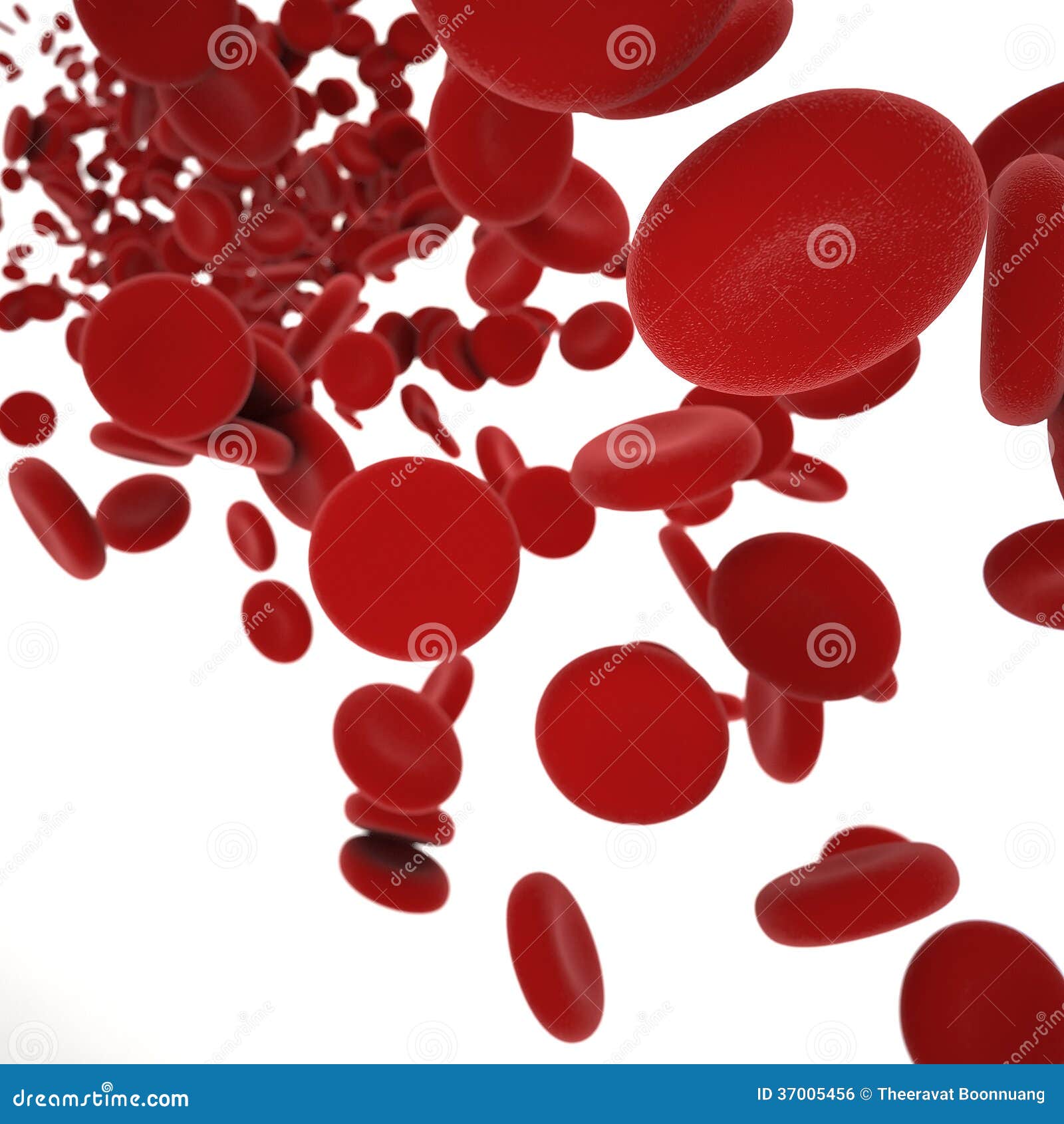 Stream Of Blood Cells Stock Image | CartoonDealer.com #37004917