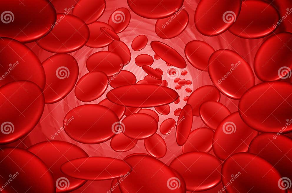 Stream of blood cells stock illustration. Illustration of medic - 30762154