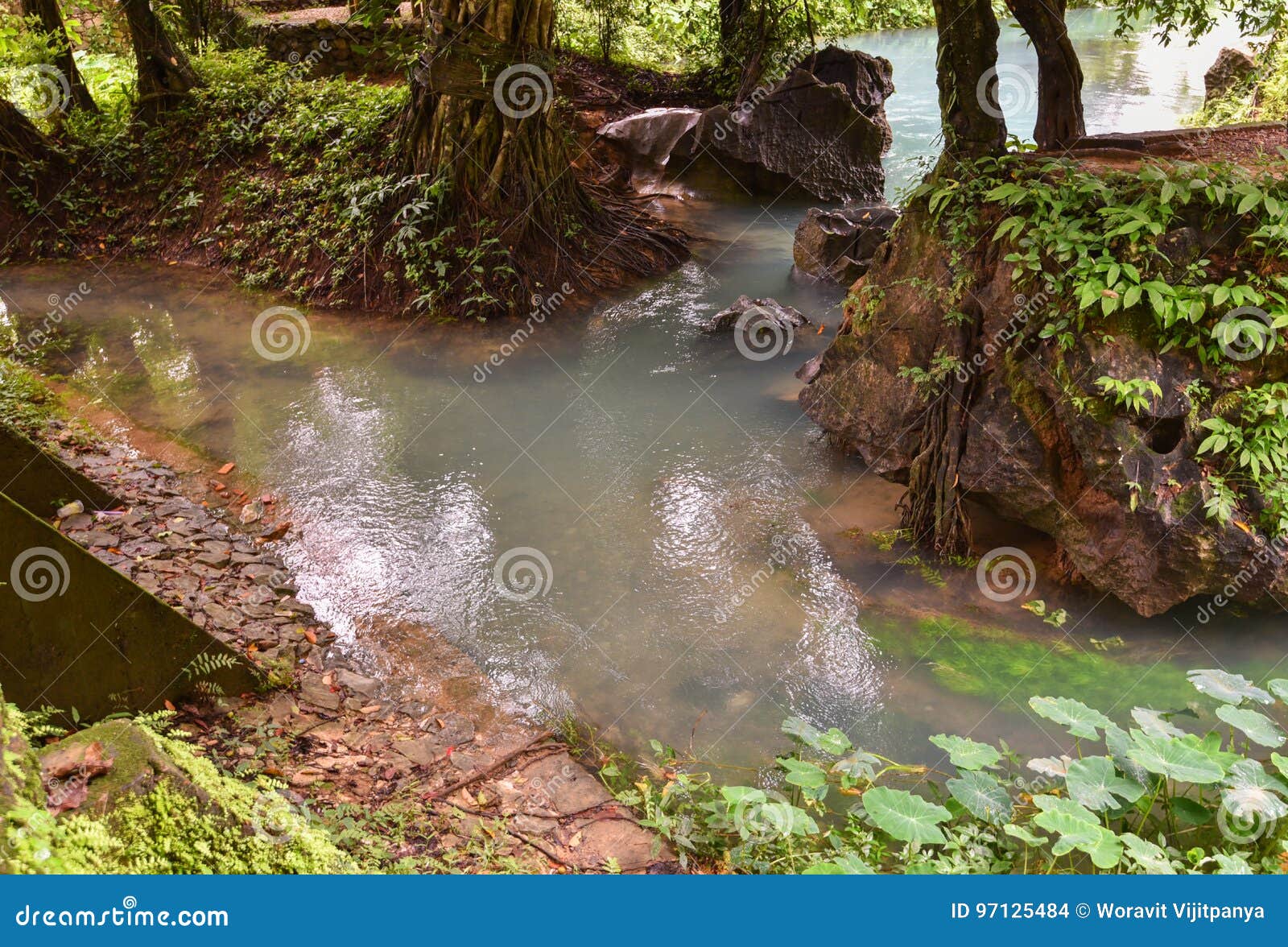 Stream Blue water stock photo. Image of swimming, shelter - 97125484