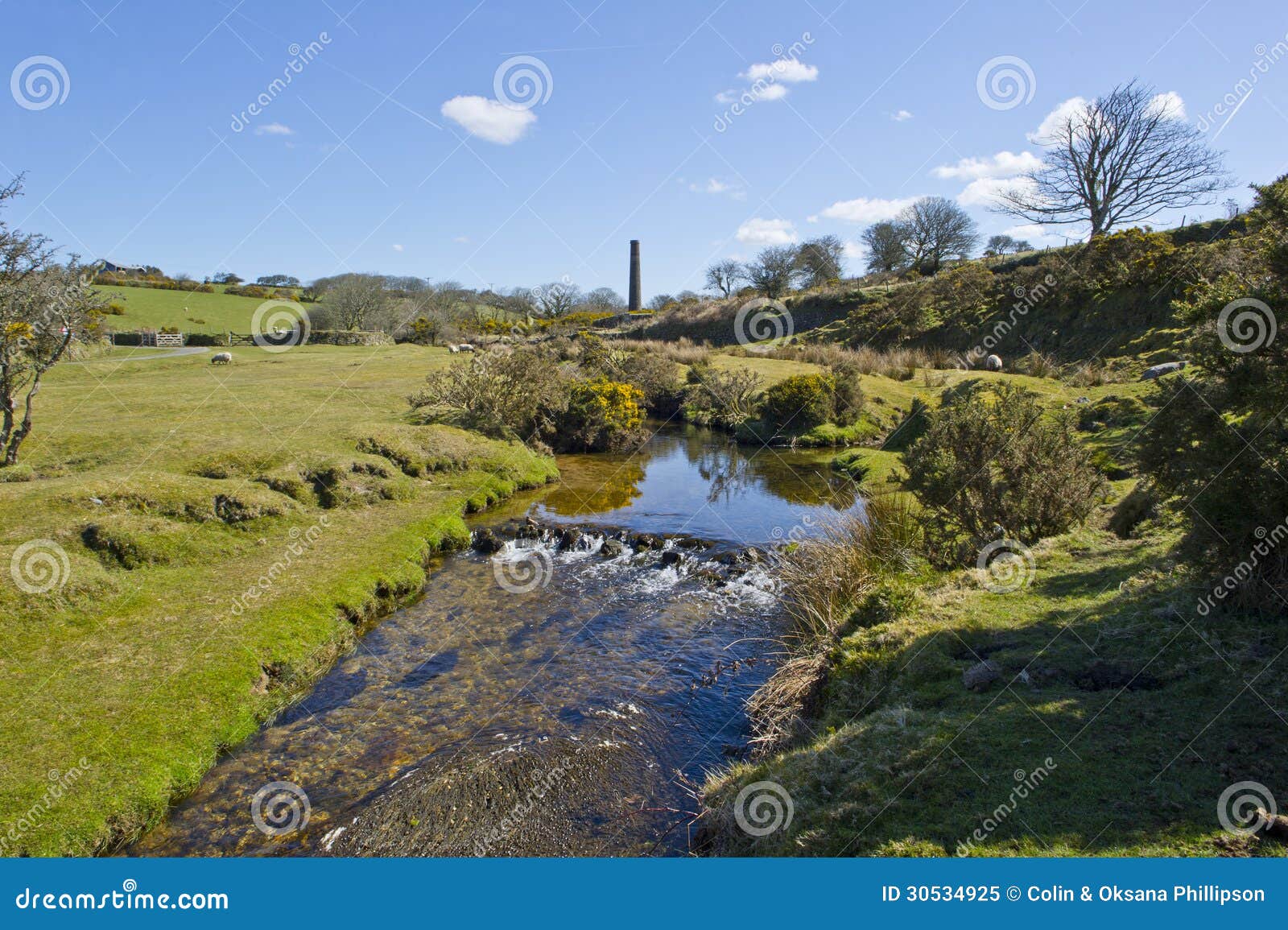 Stream on Bodmin Moor stock image. Image of scenic, cornish - 30534925
