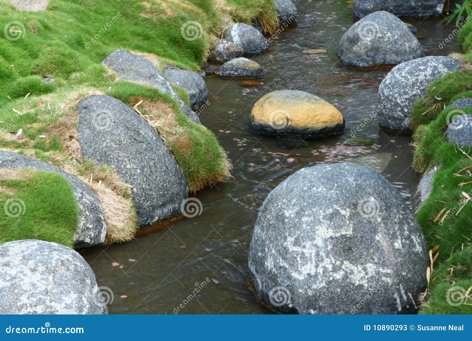 A Stream with Boulders and Moss Stock Image - Image of water, scenic ...