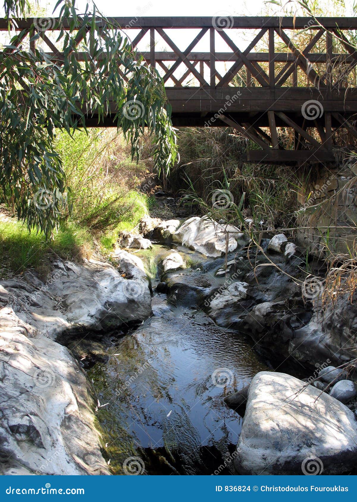 The stream and the bridge stock photo. Image of stream - 836824