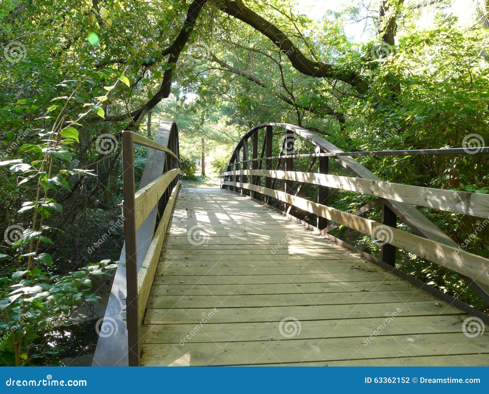 Stream Bridge with Trees stock photo. Image of hike, stream - 63362152