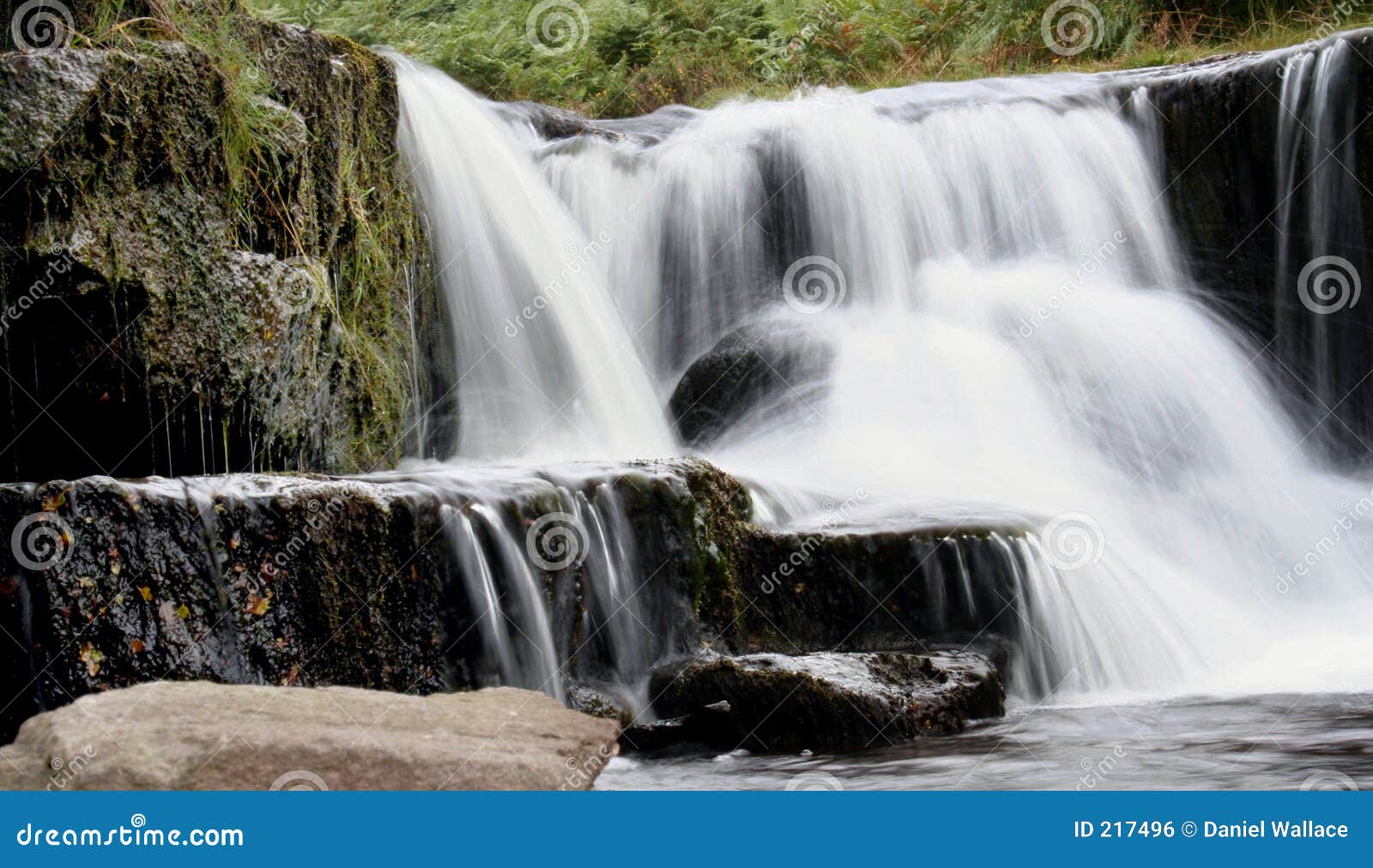 Stream in the British Countryside Stock Photo - Image of water, flow ...