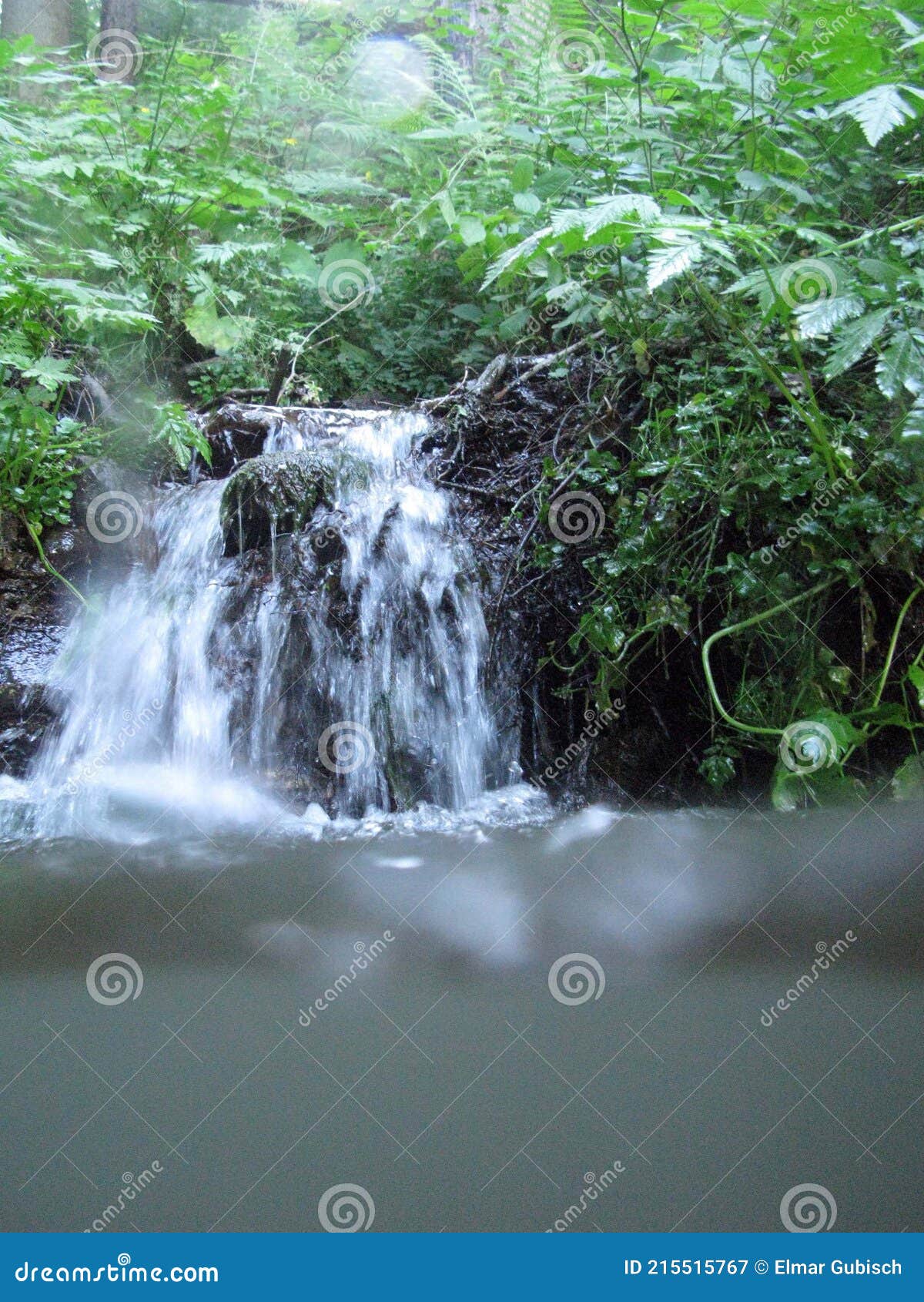 Stream of a Brook or a Creek Stock Image - Image of water, lifeline ...