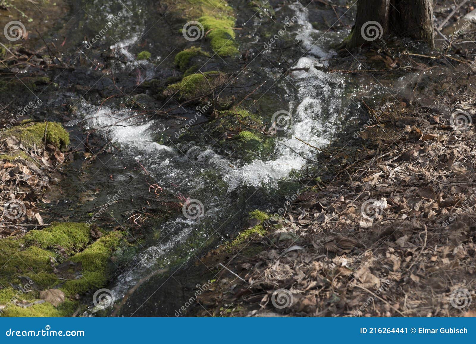 Stream of a Brook or a Creek Stock Image - Image of supply, liquid ...