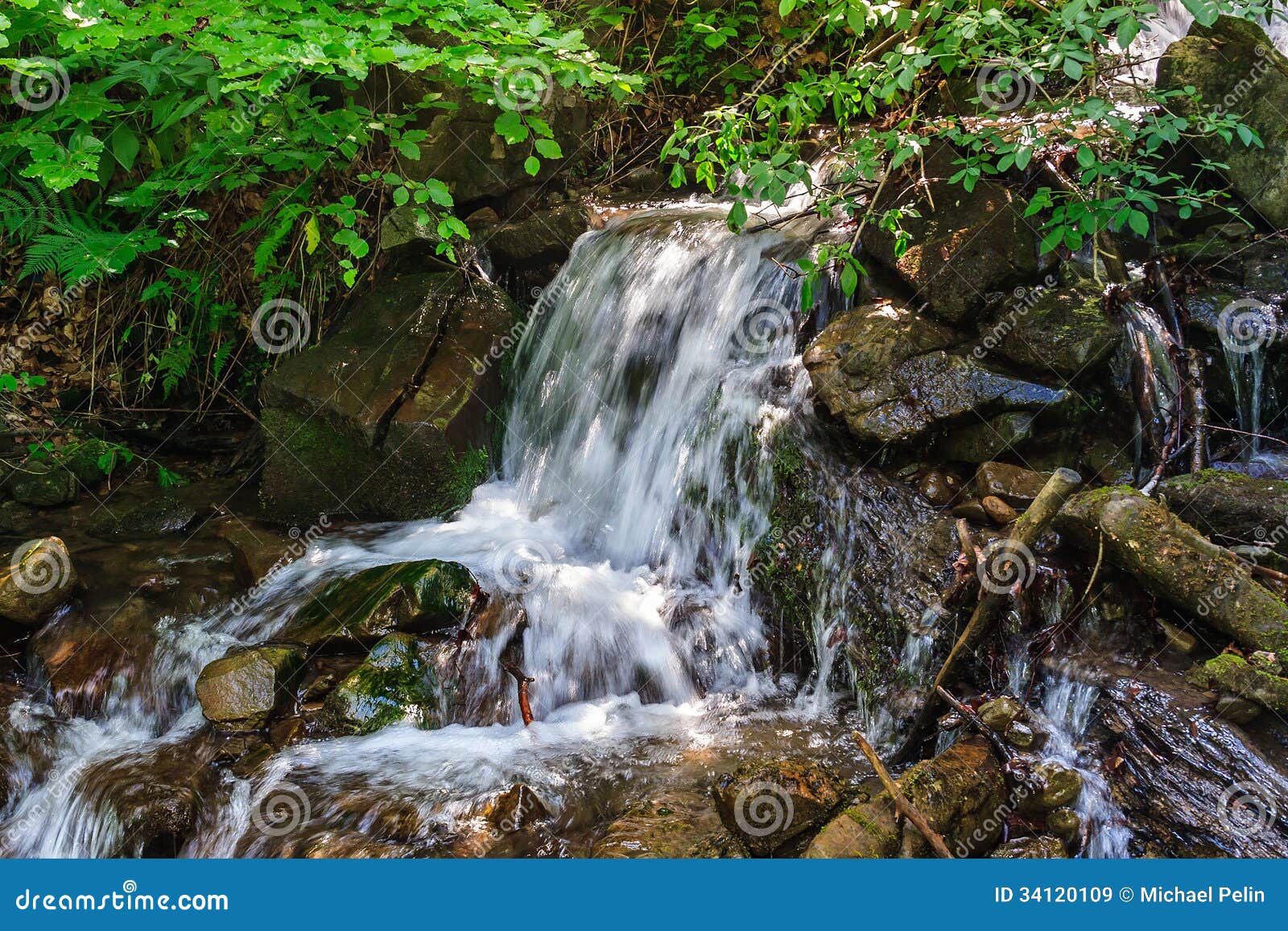 Stream Cascade Flowing in Forest Stock Image - Image of leaf, natural ...