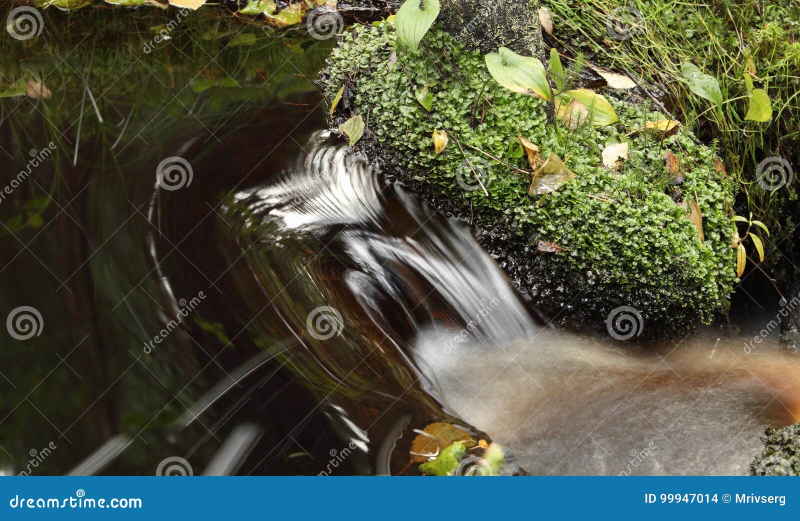 Stream, Cascade Water Long Exposure Stock Photo - Image of scenery ...