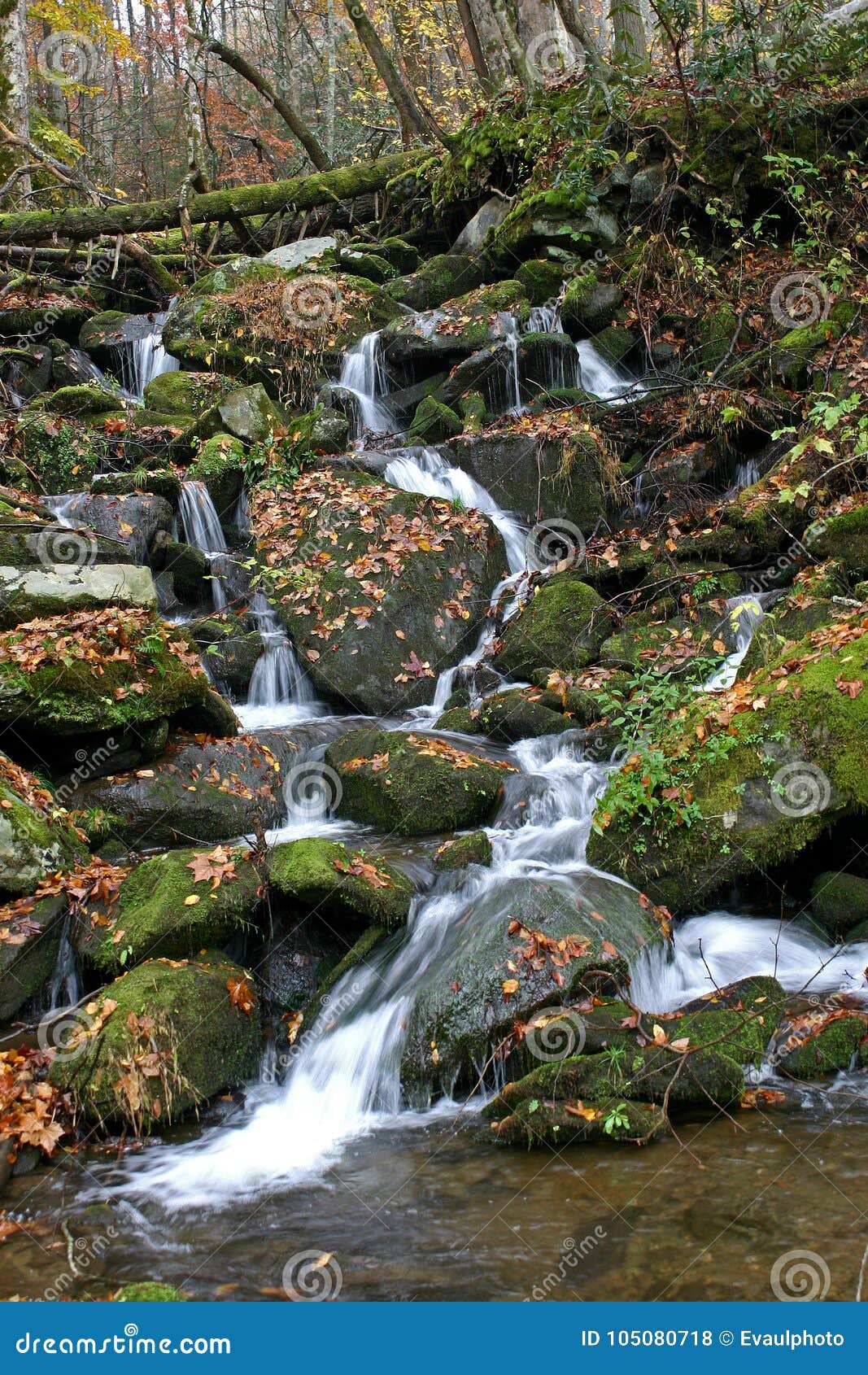 Fall Cascade stock photo. Image of river, cascade, leaves - 105080718