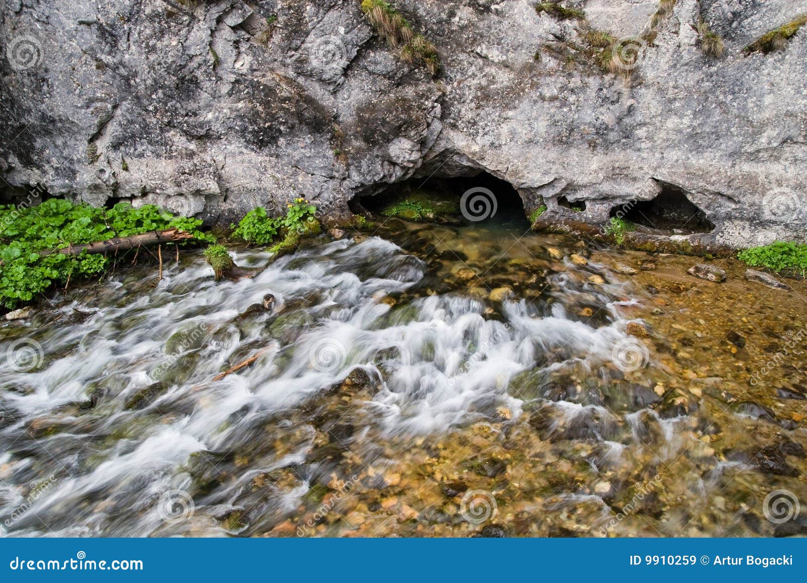 Stream from the Cave stock image. Image of healthy, wodna - 9910259