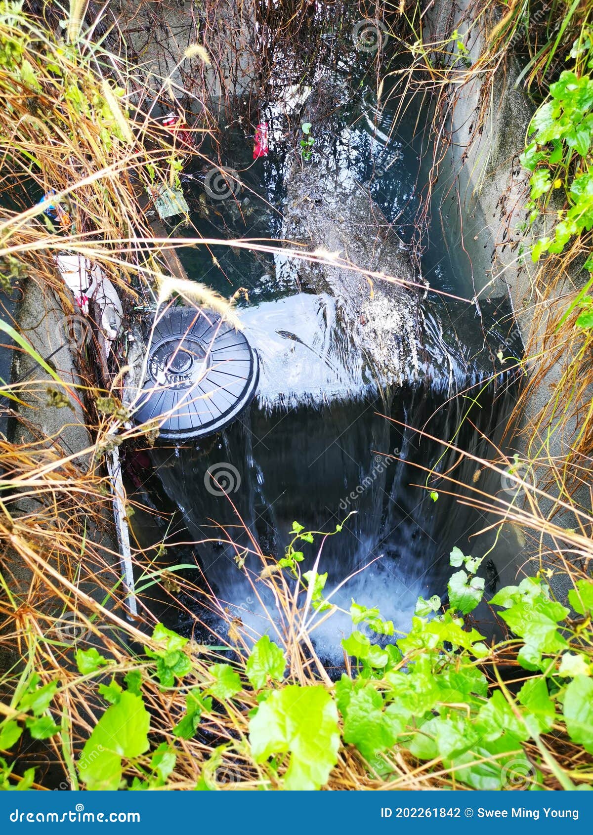 Stream of Channel Flowing Water for the Drainage System. Stock Photo ...