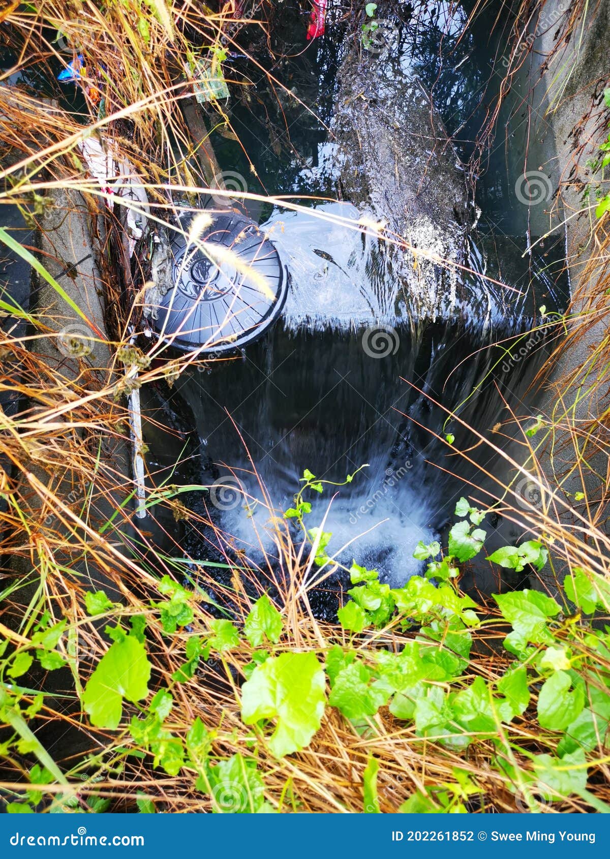 Stream of Channel Flowing Water for the Drainage System. Stock Photo ...