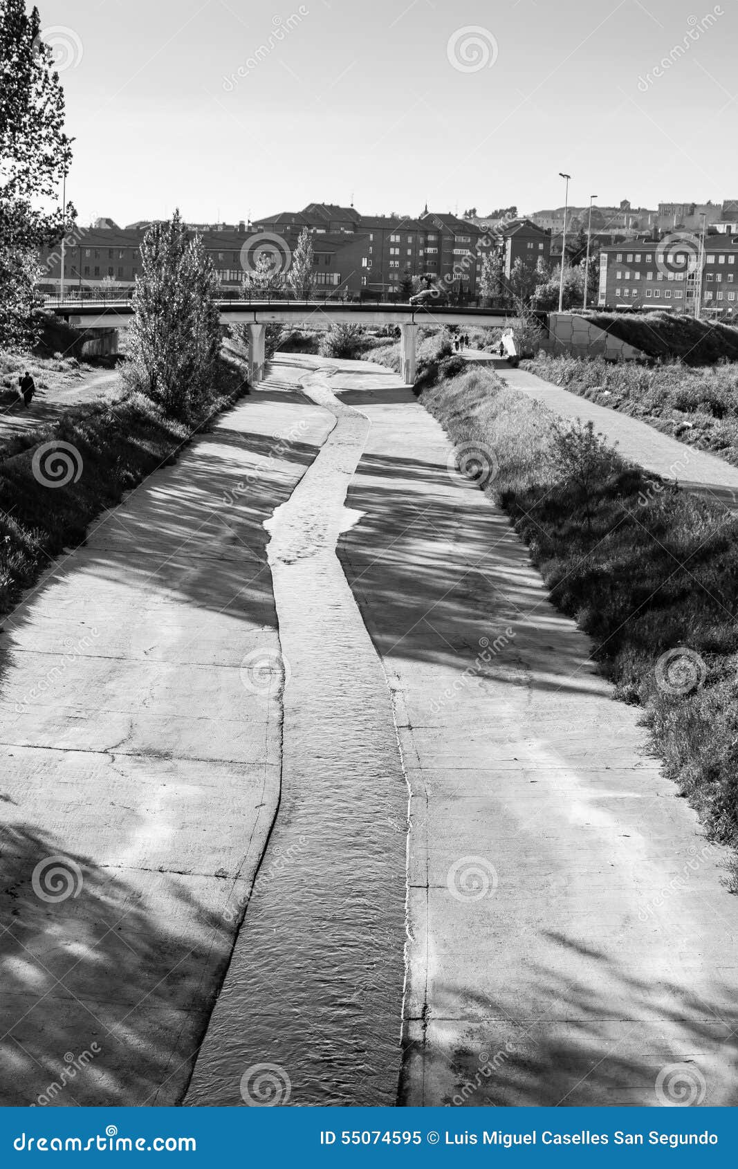 Stream channel stock image. Image of palm, beauty, cloud - 55074595