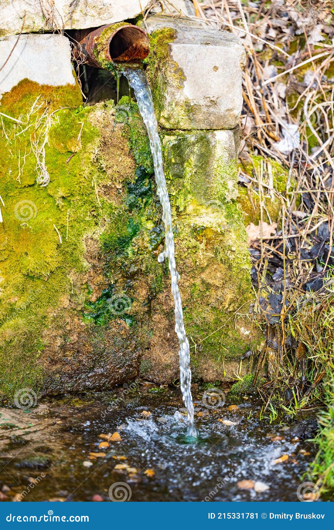 Stream of Clean Spring Water Stock Image - Image of nature, tube: 215331781