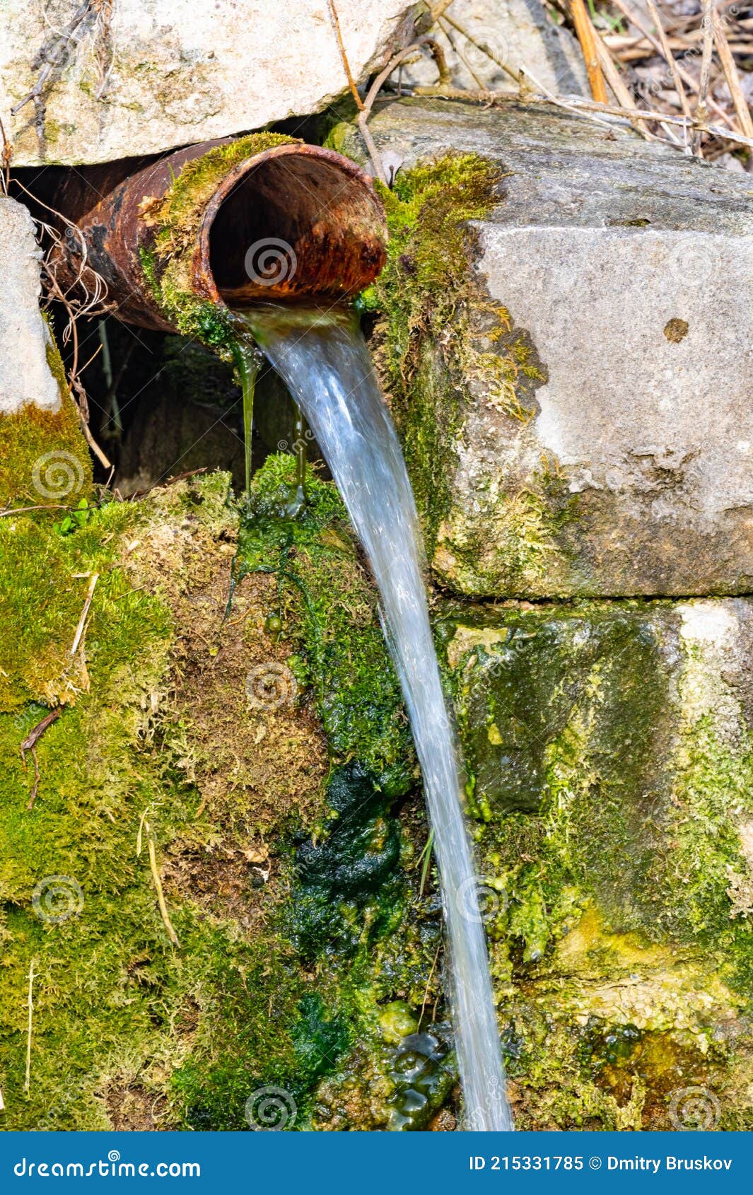 Stream of Clean Spring Water Stock Image - Image of green, flowing ...