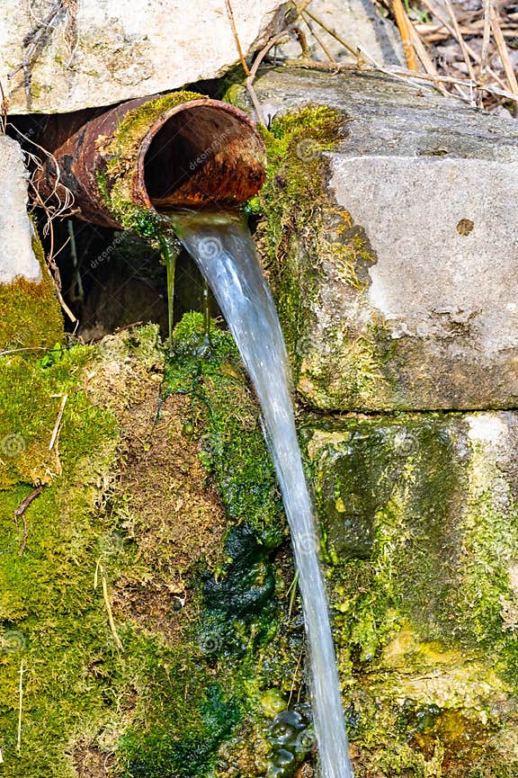 Stream of Clean Spring Water Stock Image - Image of green, flowing ...