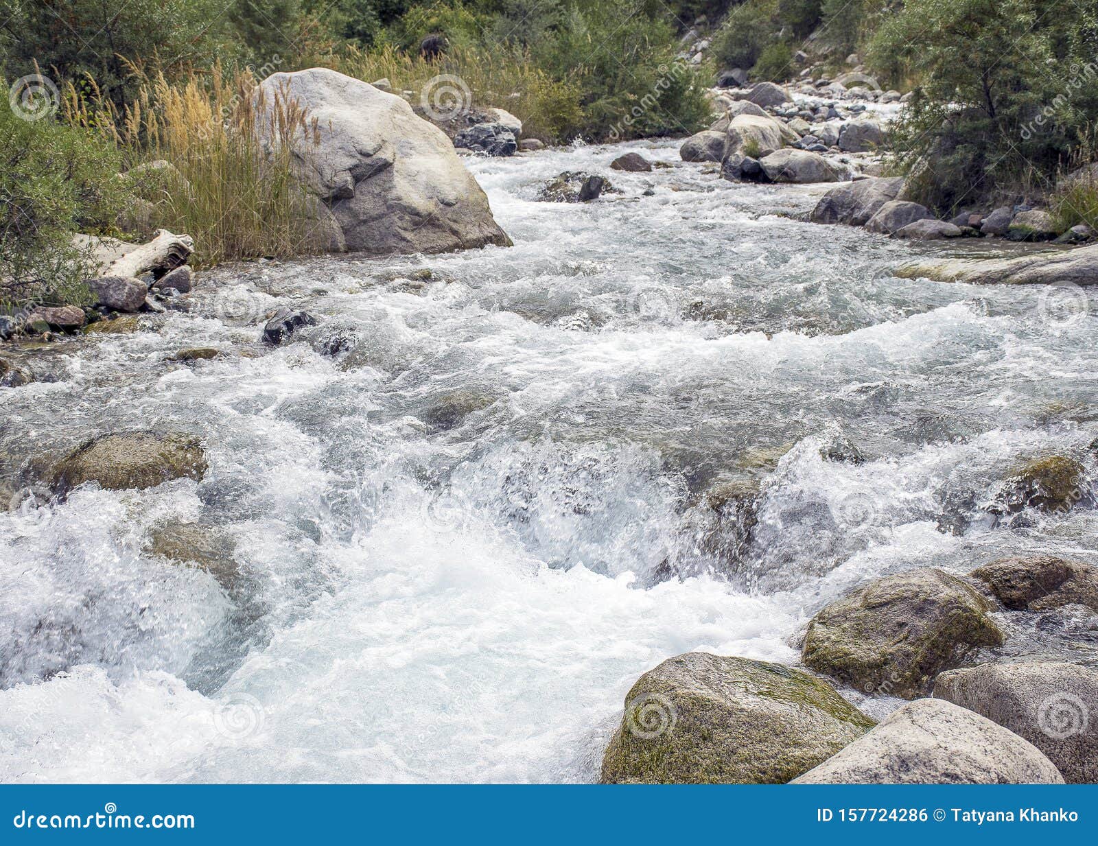 Stream with Clear Transparent Water in the Mountains. Water Source ...