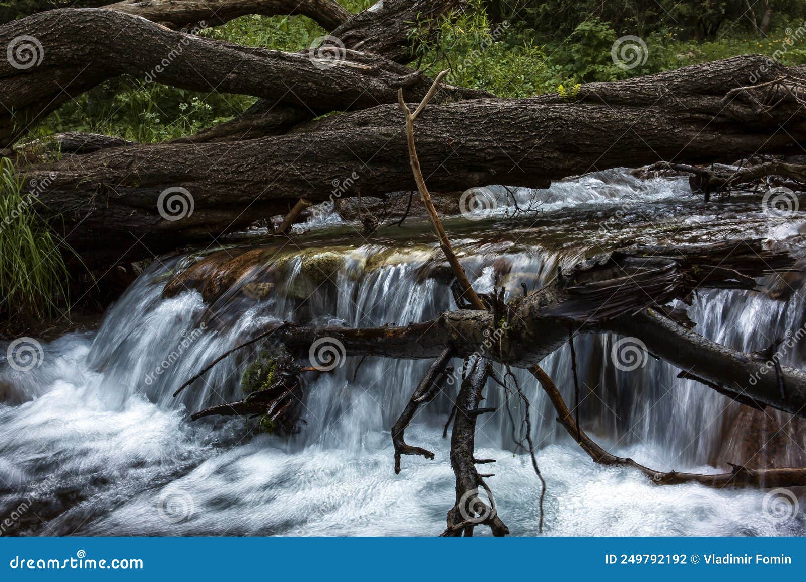 Pure water. stock photo. Image of mountains, stream - 249792192