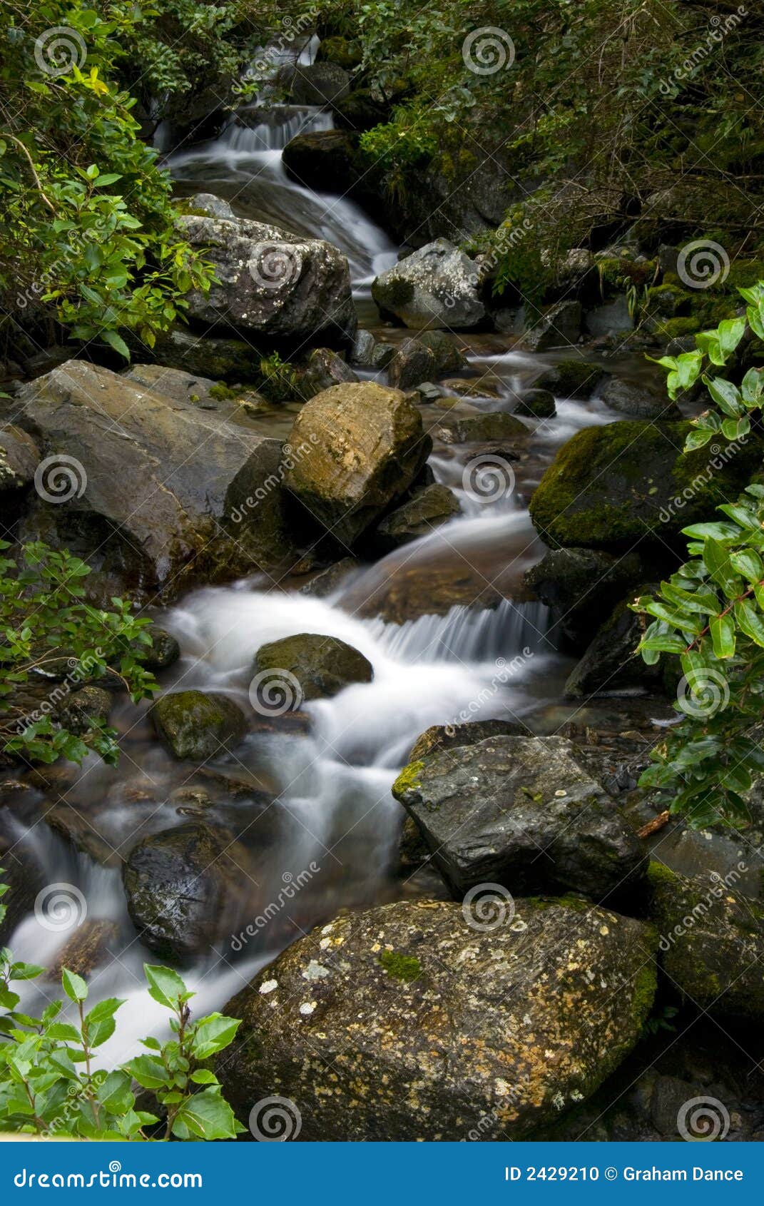 Stream close stock photo. Image of waterfall, stream, quiet - 2429210