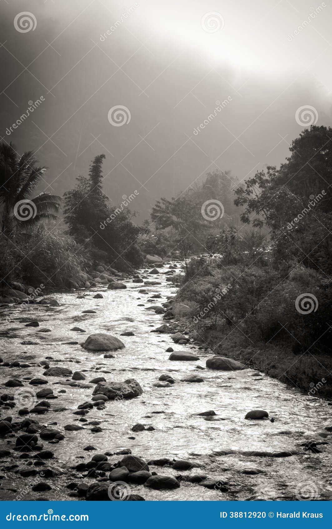 A Stream Coming through the Mist Stock Photo - Image of mist ...