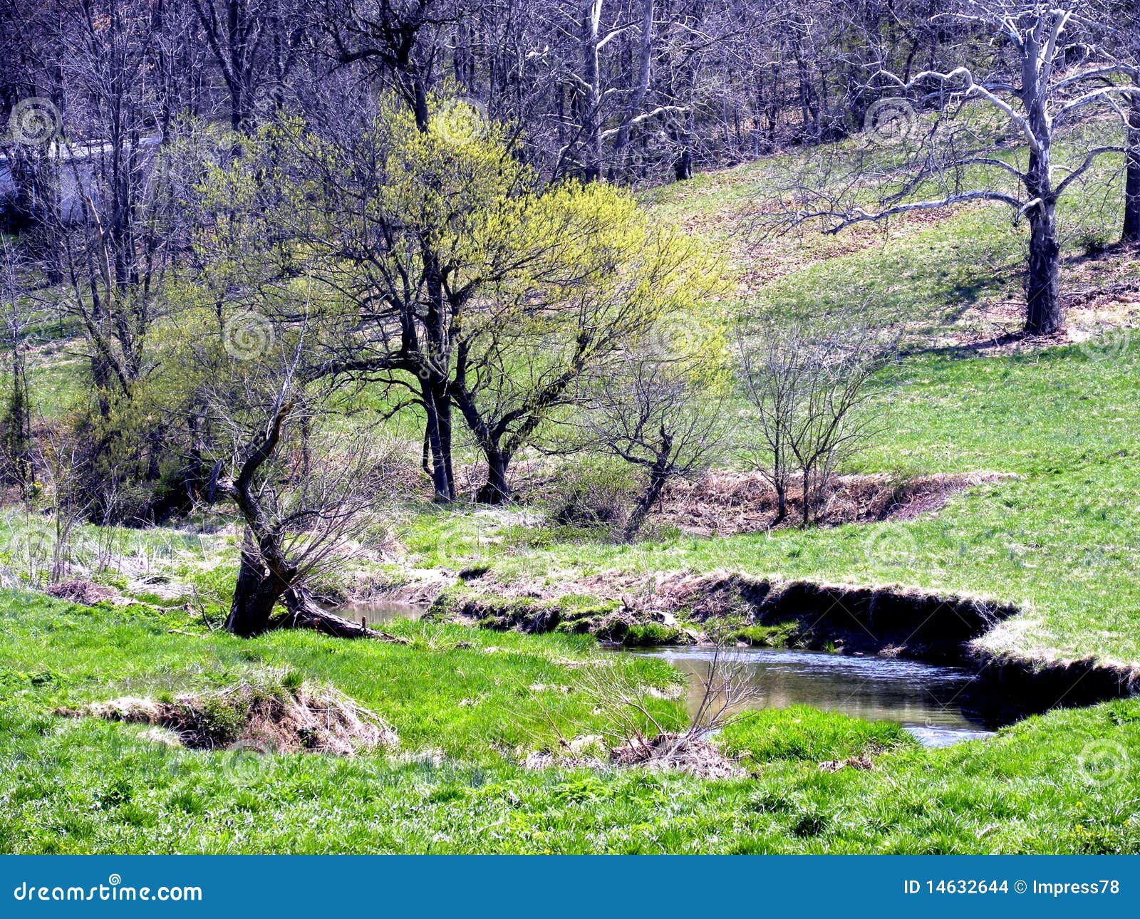 Stream in countryside stock photo. Image of river, outdoors - 14632644