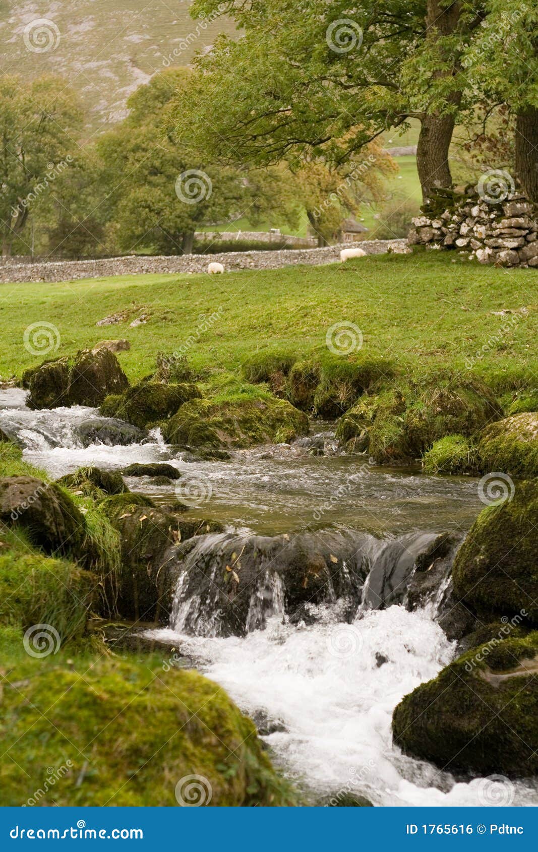 Stream in countryside stock photo. Image of river, brook - 1765616