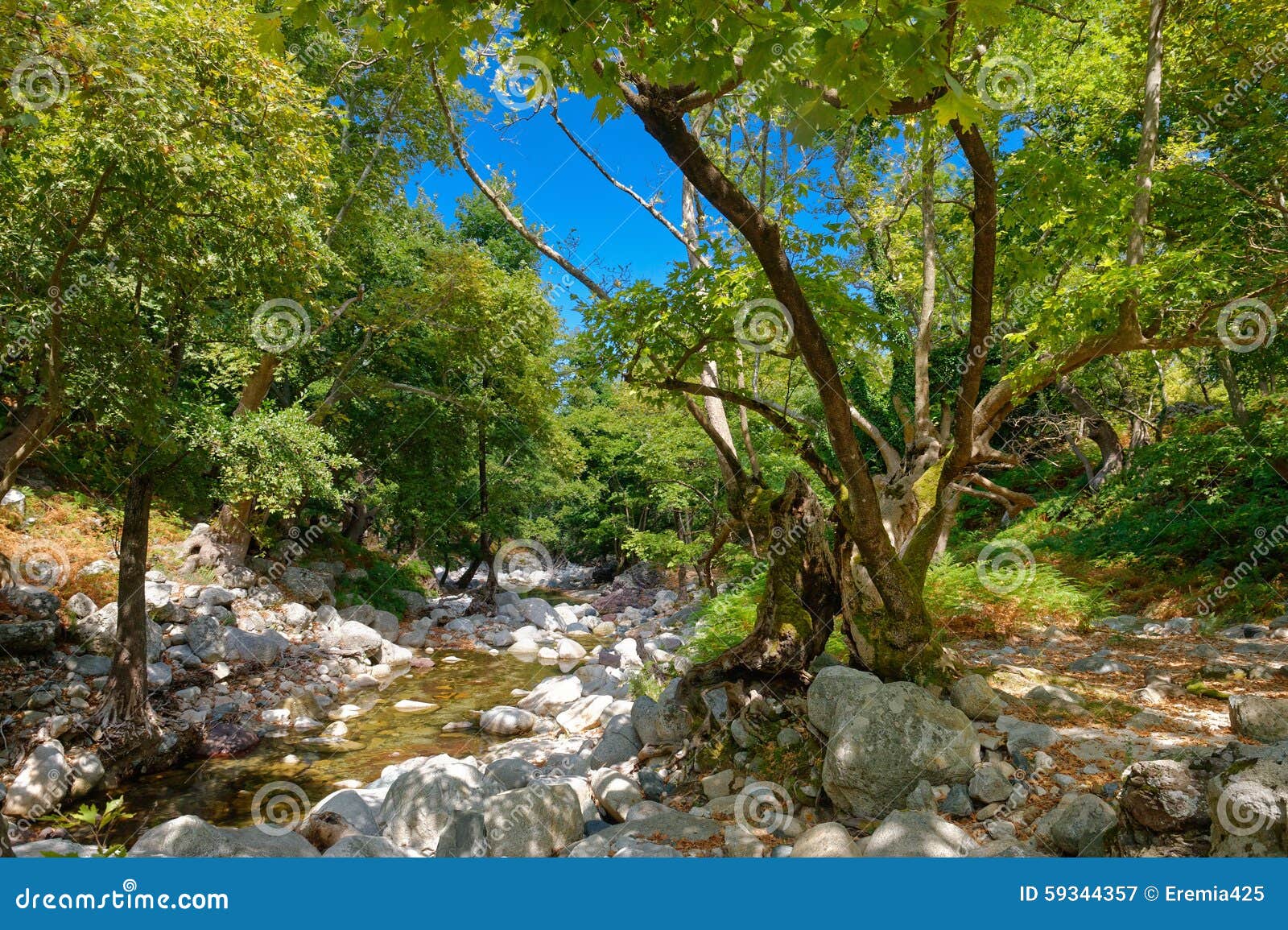 Stream in the countryside stock image. Image of creek - 59344357