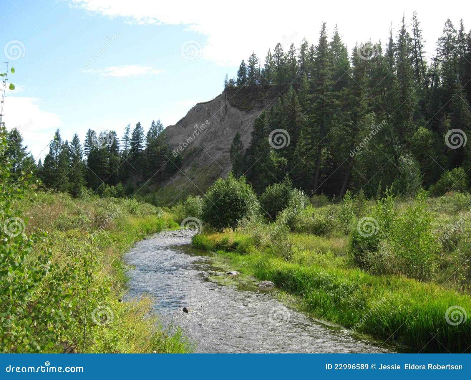 Stream by the cut banks stock image. Image of scenic - 22996589