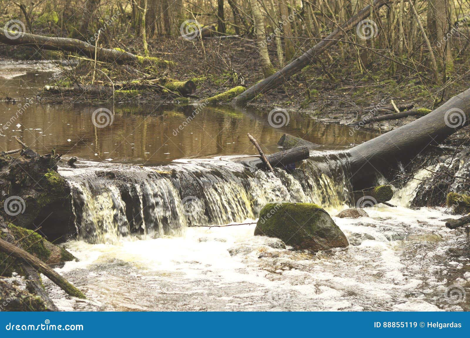 Stream dam in early spring stock image. Image of rocky - 88855119
