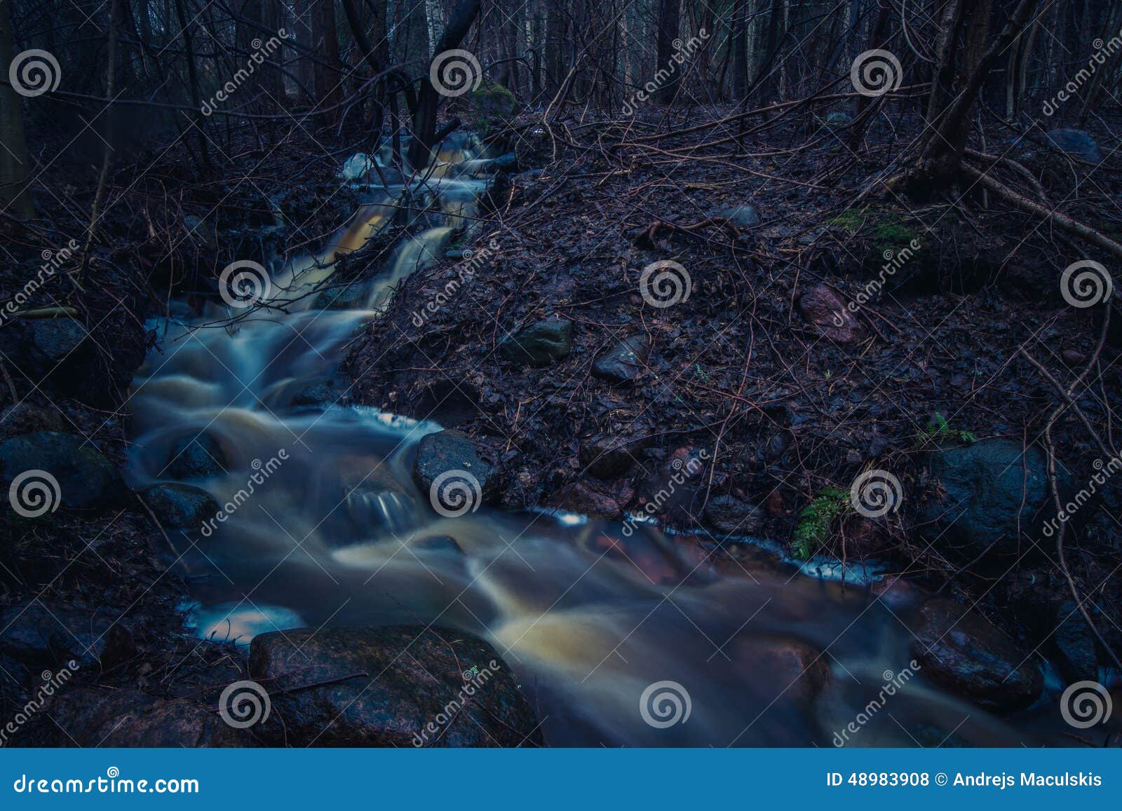 Stream in a Dark Autumn Forest Stock Photo - Image of glow, rain: 48983908