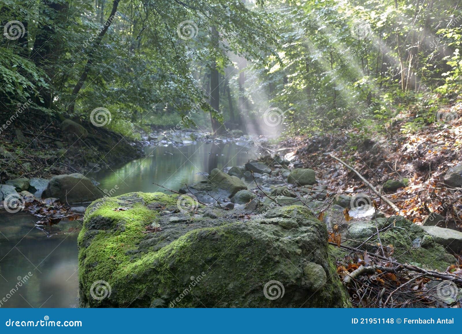 Stream at dawn stock photo. Image of deep, peaceful, rock - 21951148