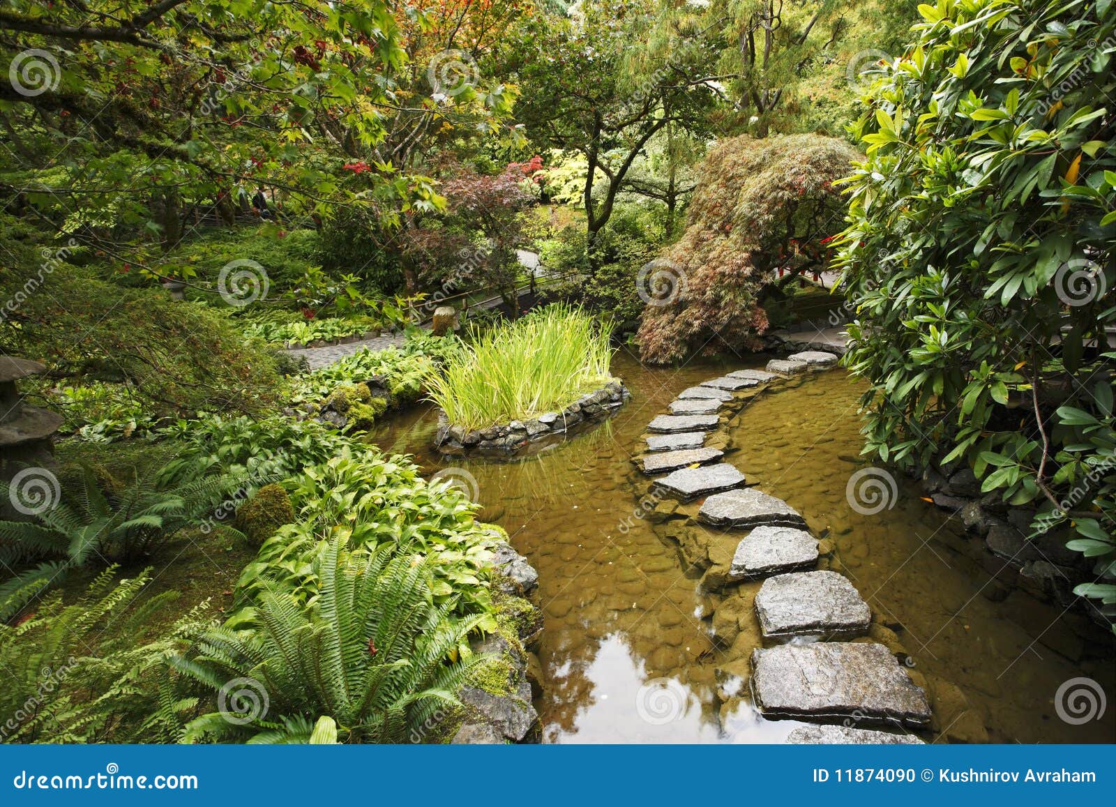 A Stream and a Decorative Path from Stones Stock Photo - Image of pond ...