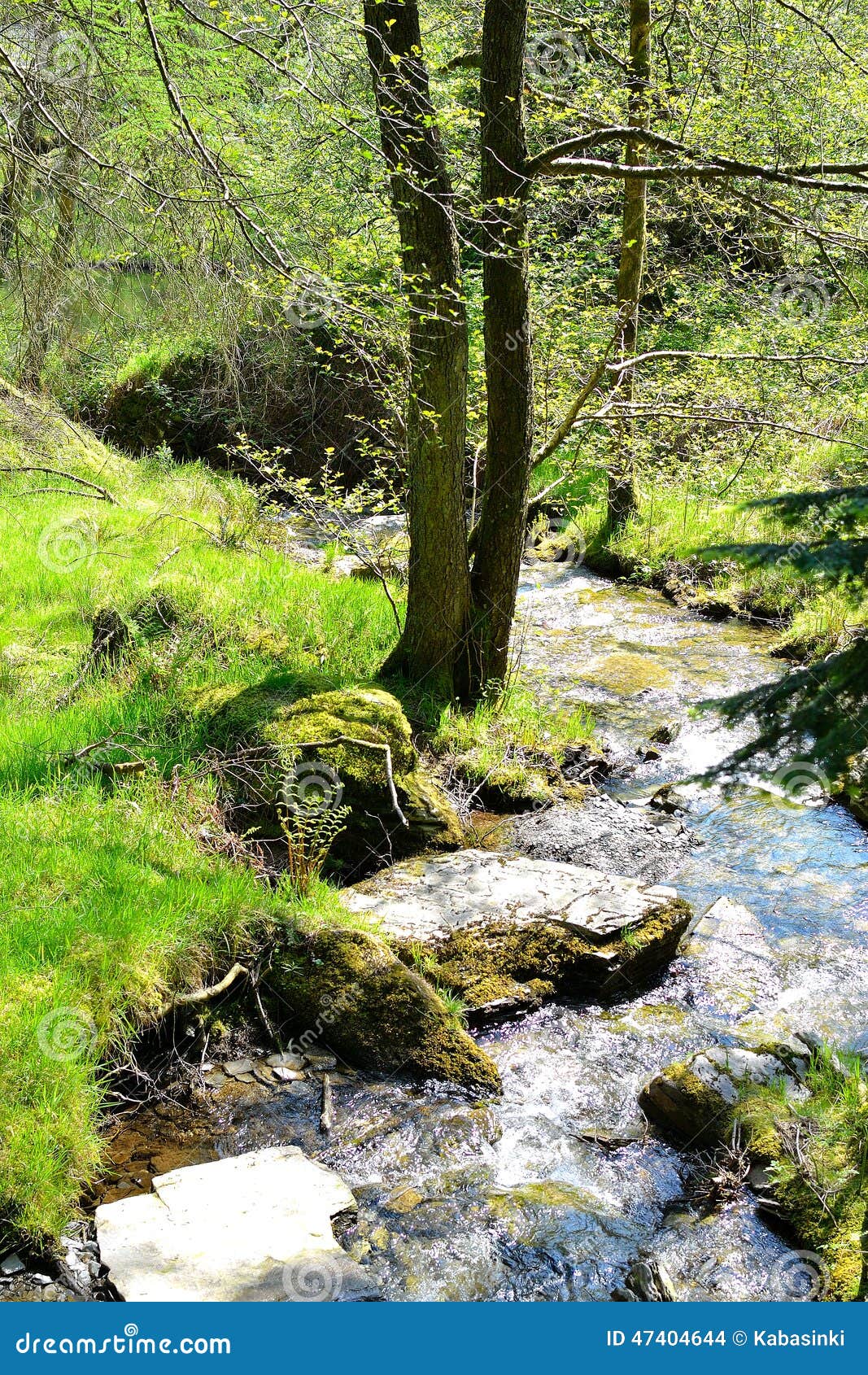 Stream in English Countryside Stock Photo - Image of river, stones ...