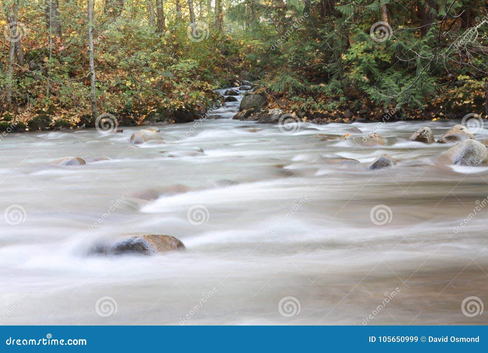 Stream entering a river stock image. Image of scenic - 105650999