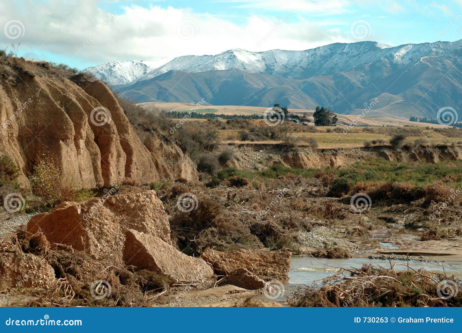Stream Erosion stock image. Image of plain, tree, zealand - 730263