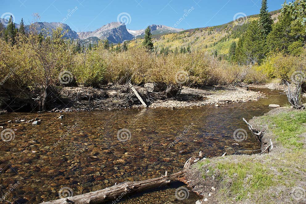Stream in Fall stock image. Image of rockies, travel - 27073193