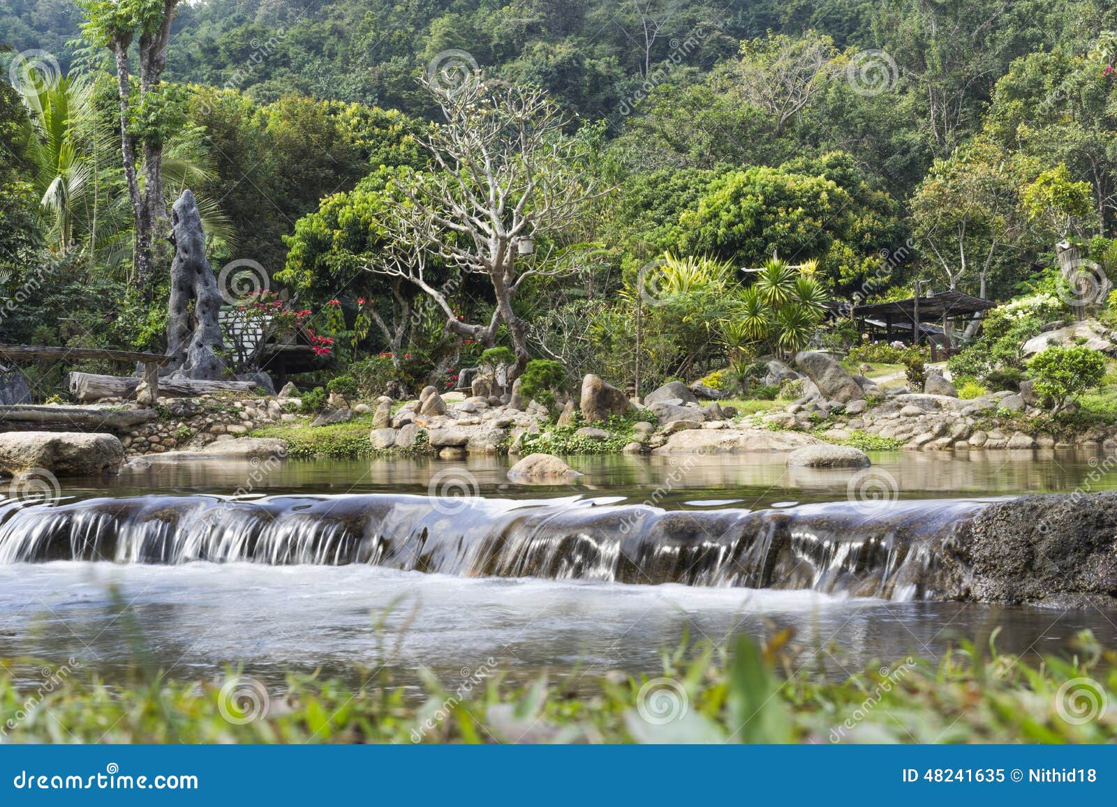 Stream stock image. Image of autumn, river, mountain - 48241635