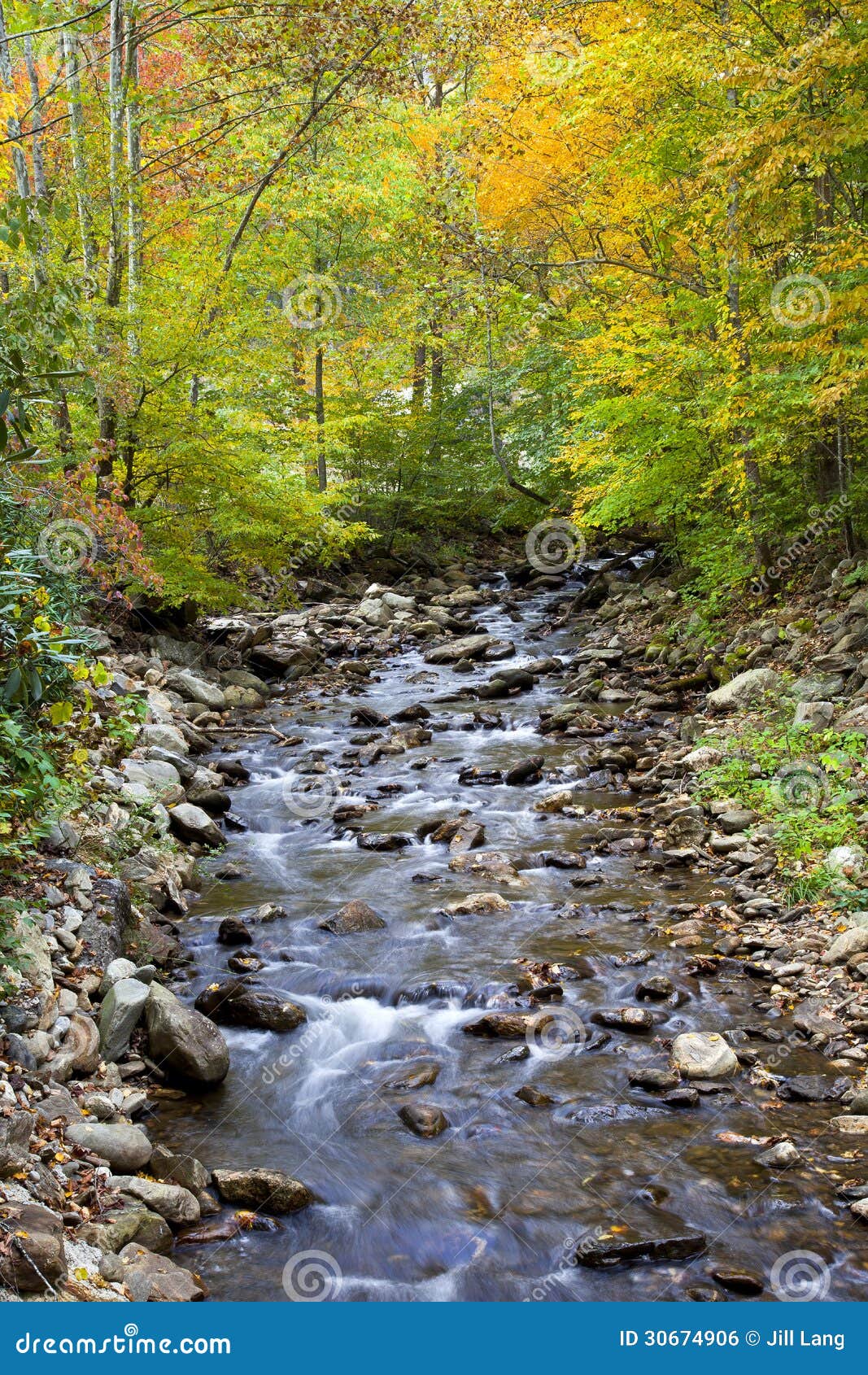 Stream in the Fall stock photo. Image of flow, natural - 30674906