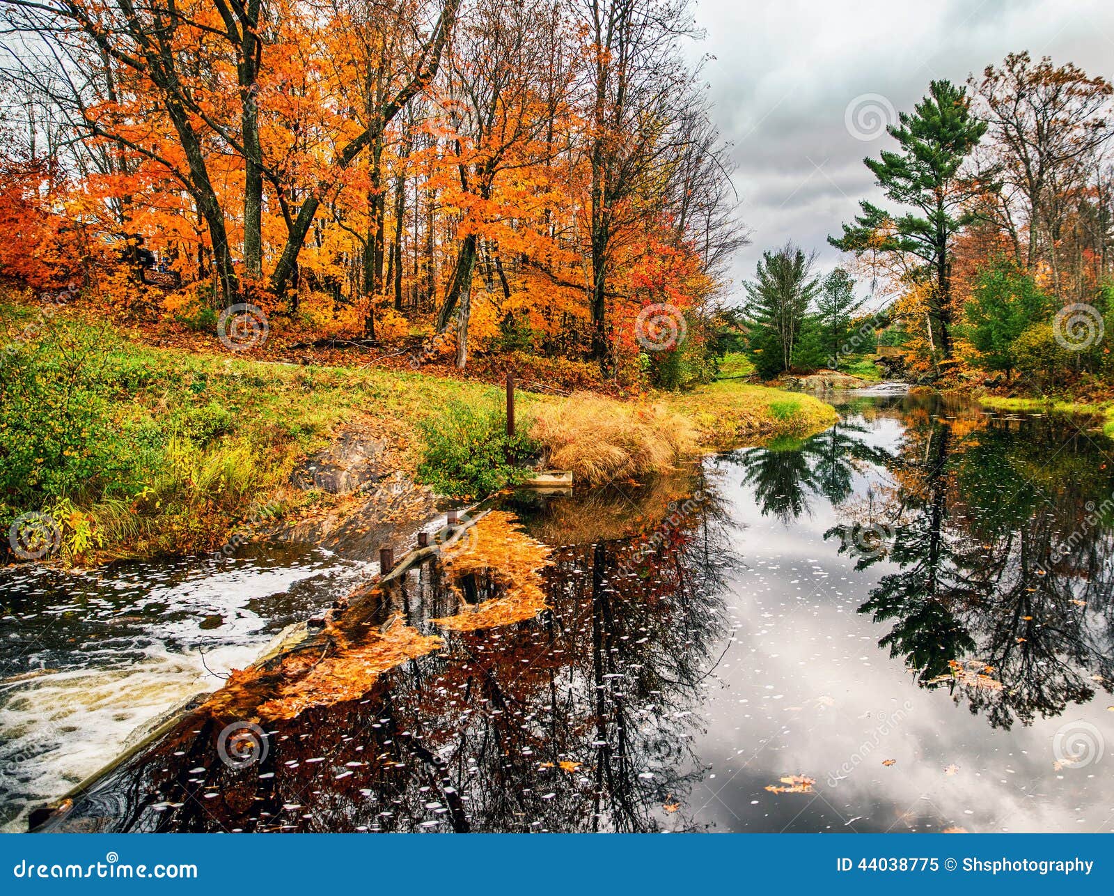 Stream in the Fall stock image. Image of foliage, morning - 44038775
