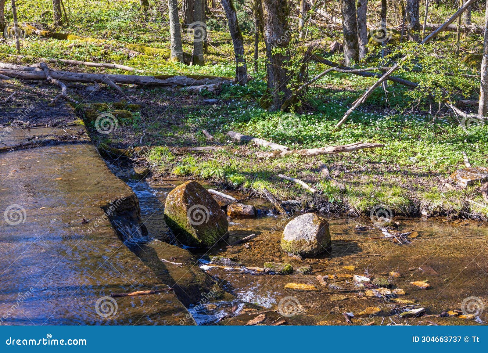 Stream with Falling Water at a Rock Slate in a Spring Woodland ...