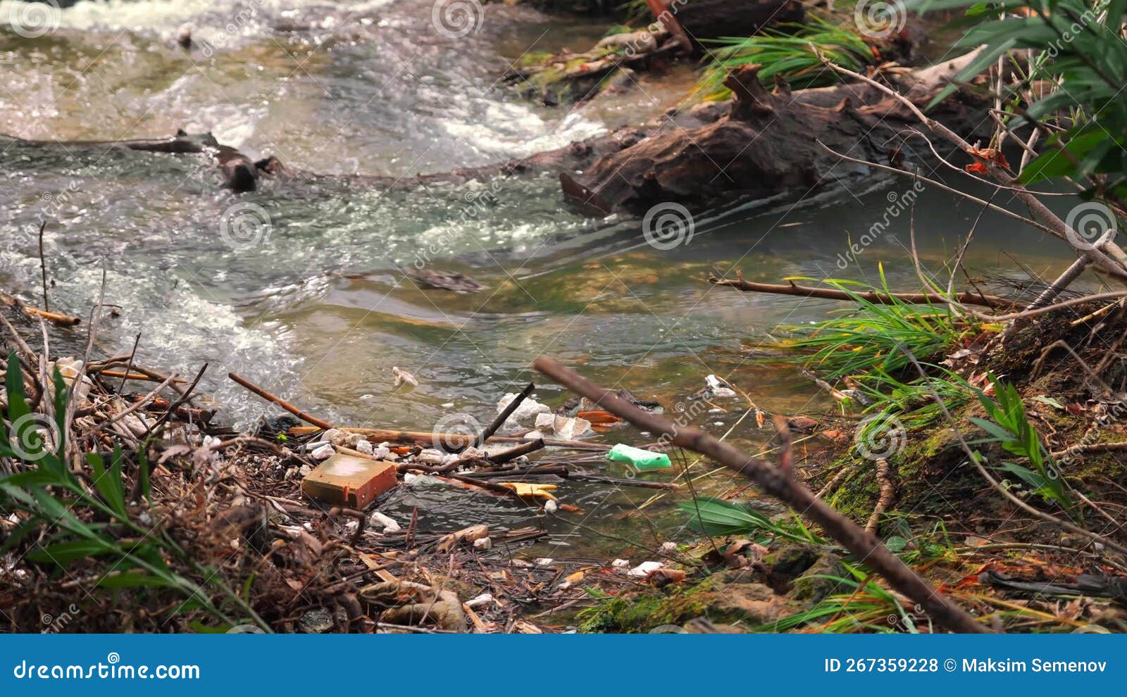 A Stream with Fast Water in the Forest, Polluted with Plastic Garbage ...