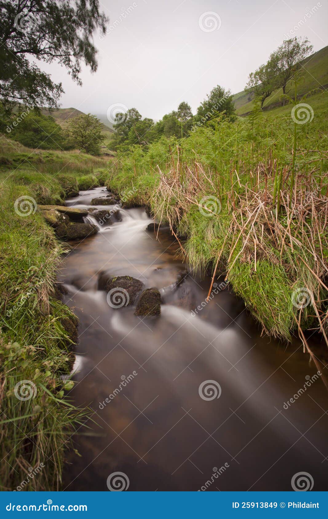 Stream through field stock image. Image of england, stream - 25913849