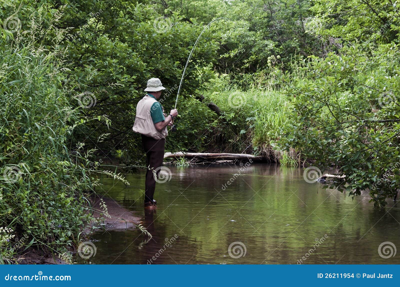 Stream fishing stock photo. Image of nature, sport, vest - 26211954