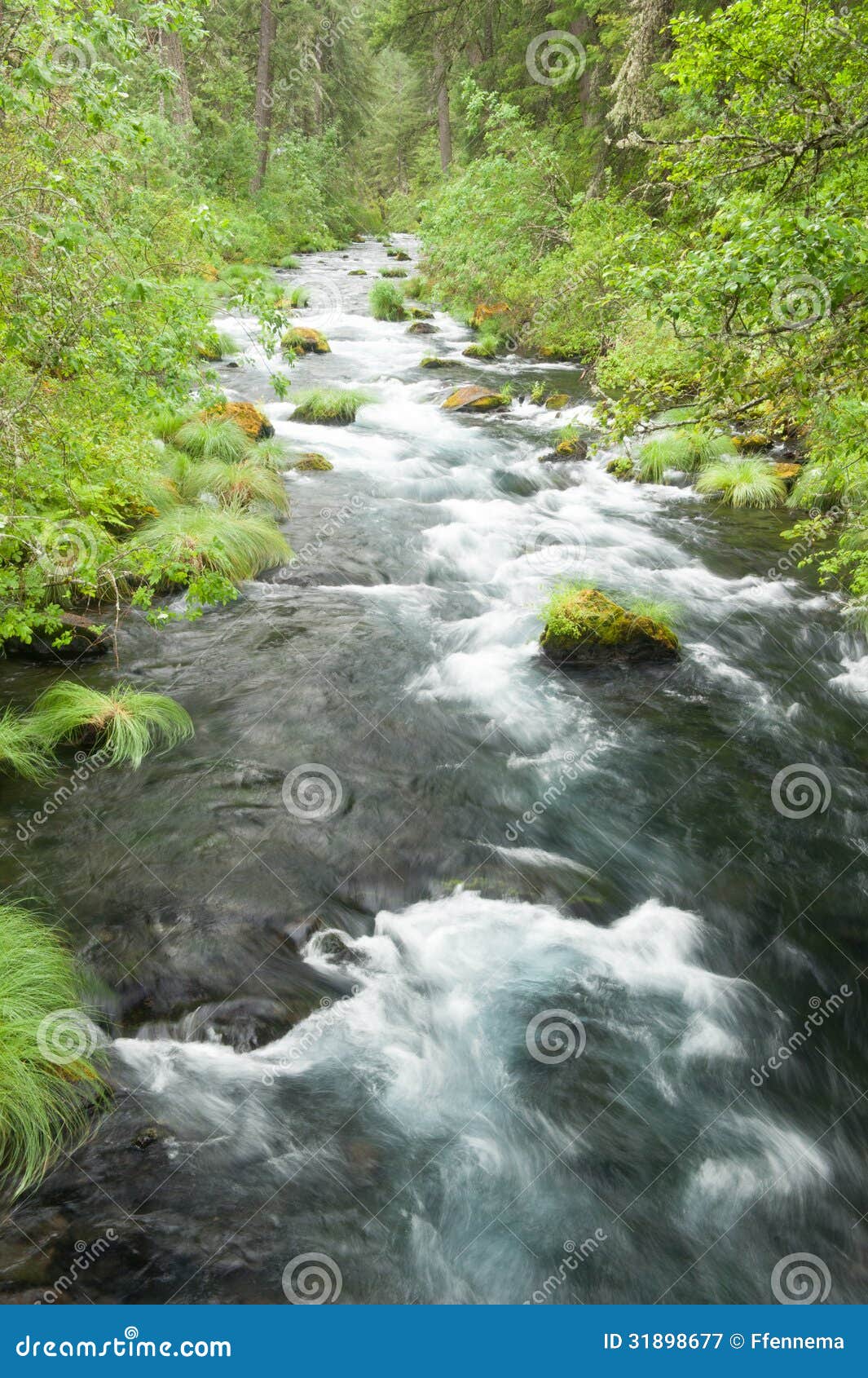 Stream Flow Over Rocks in a Beautiful Forest Stock Image - Image of ...