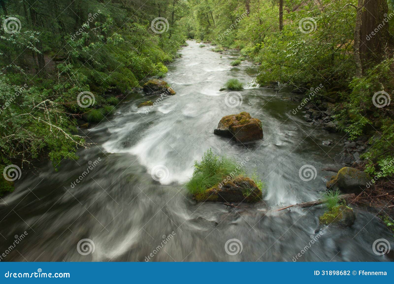 Stream Flow Over Rocks in a Beautiful Forest Stock Photo - Image of ...