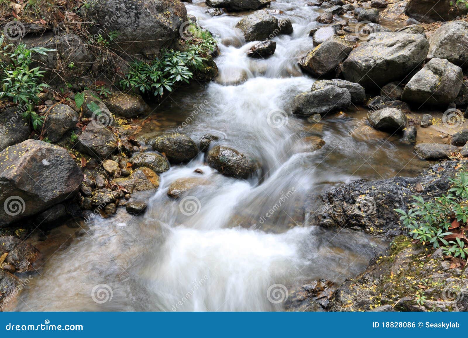 Stream flowing stock photo. Image of water, peaceful - 18828086